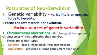 Neodarwinism or synthetic theory of evolution | PPTX