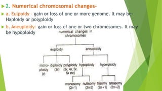 Neodarwinism or synthetic theory of evolution | PPTX