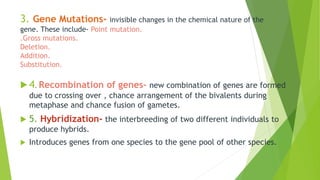 Neodarwinism or synthetic theory of evolution | PPTX