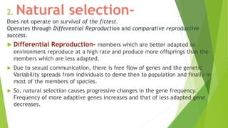 Neodarwinism or synthetic theory of evolution | PPTX