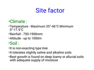 farm forestry | PPT