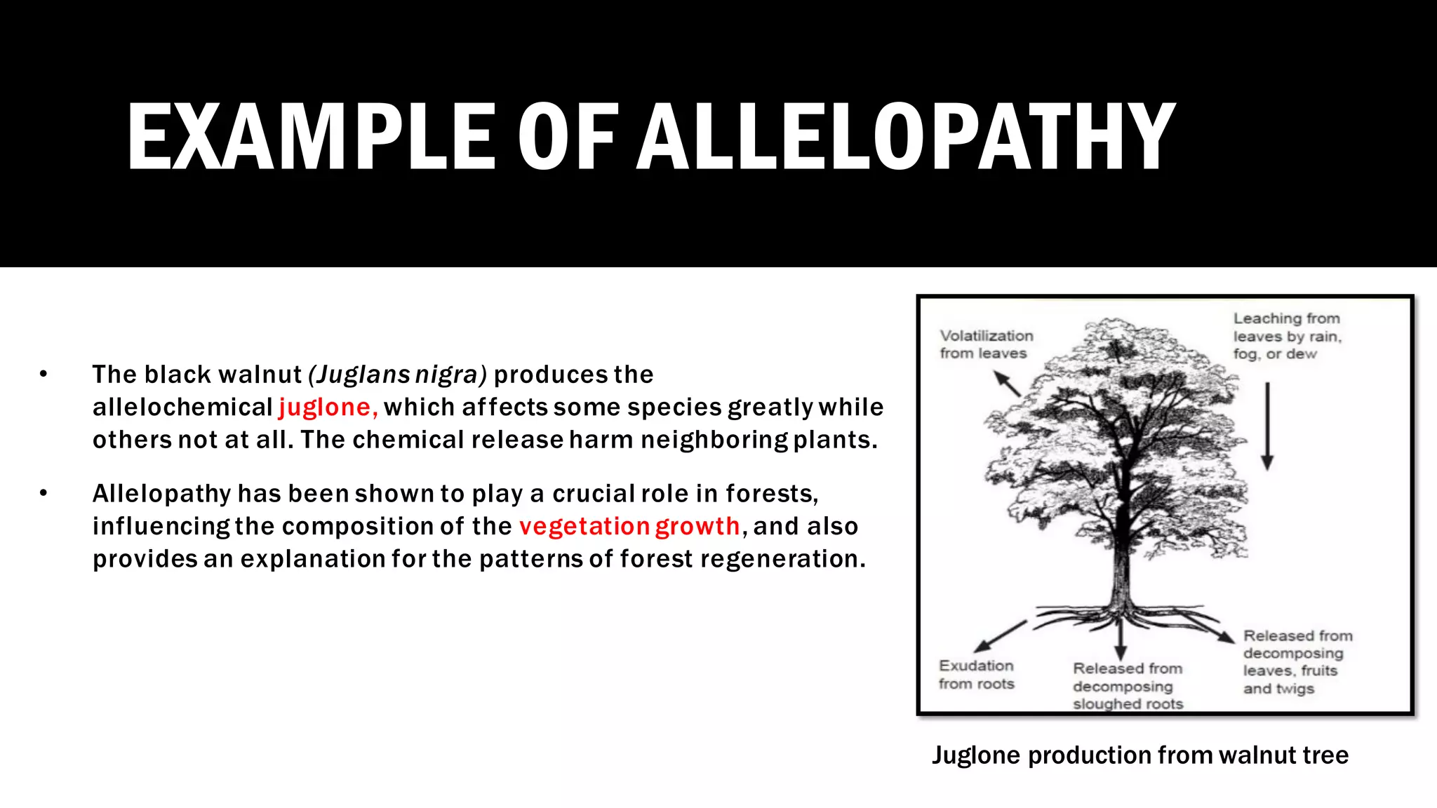 Assignment of functional ecology ii | PDF
