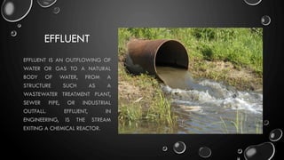 Domestic Wastewater Effluents | PDF