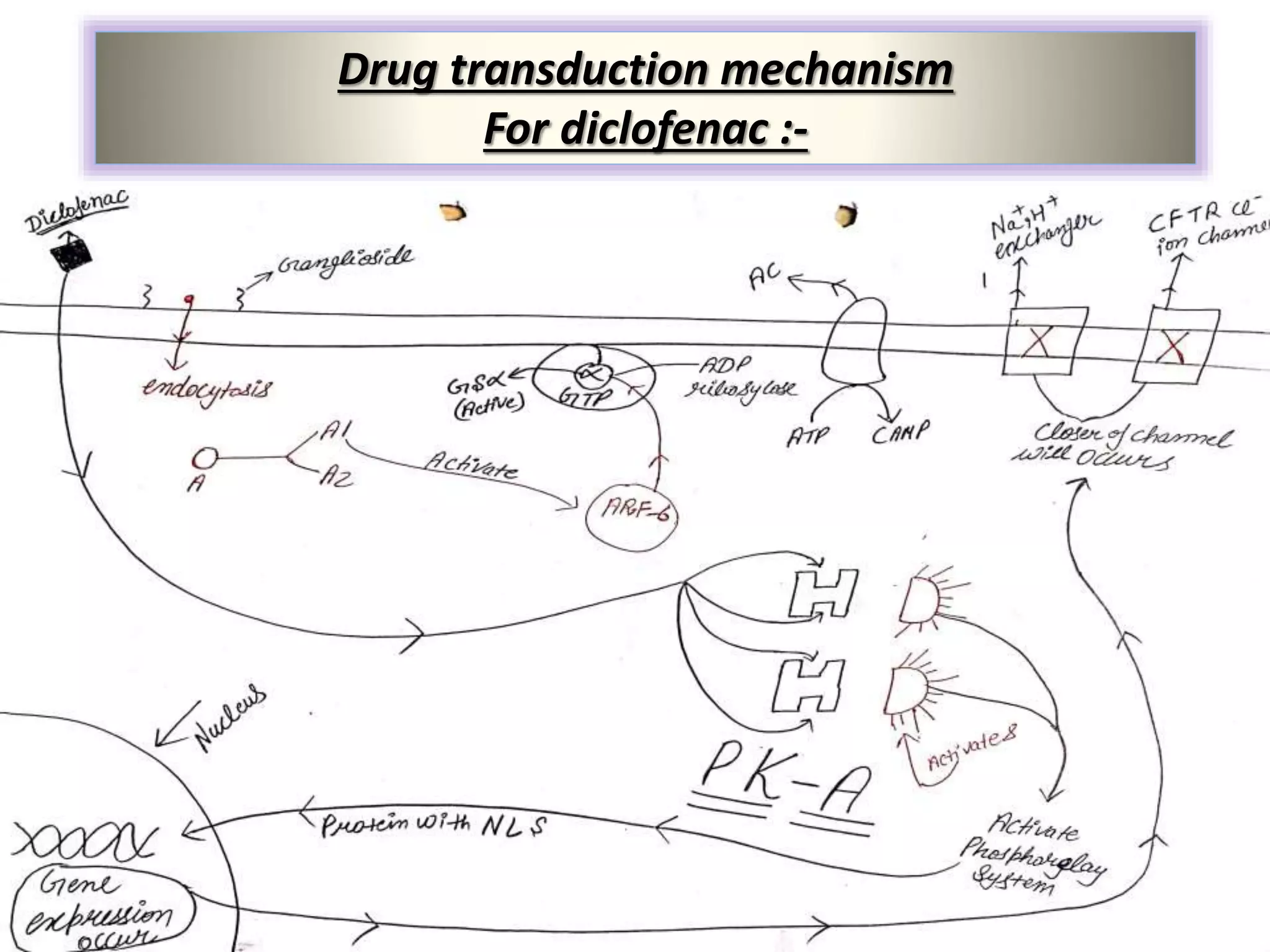 Drug transducing machinery | PPT