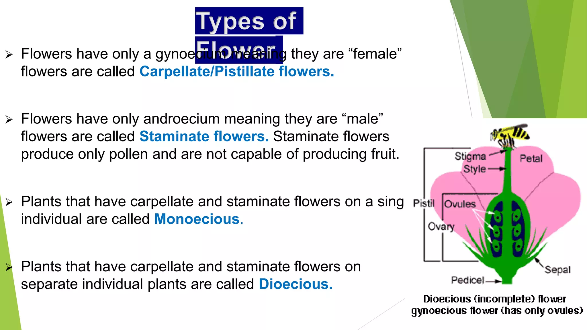 Introduction to flower, it's parts and types of flowers. | PPTX