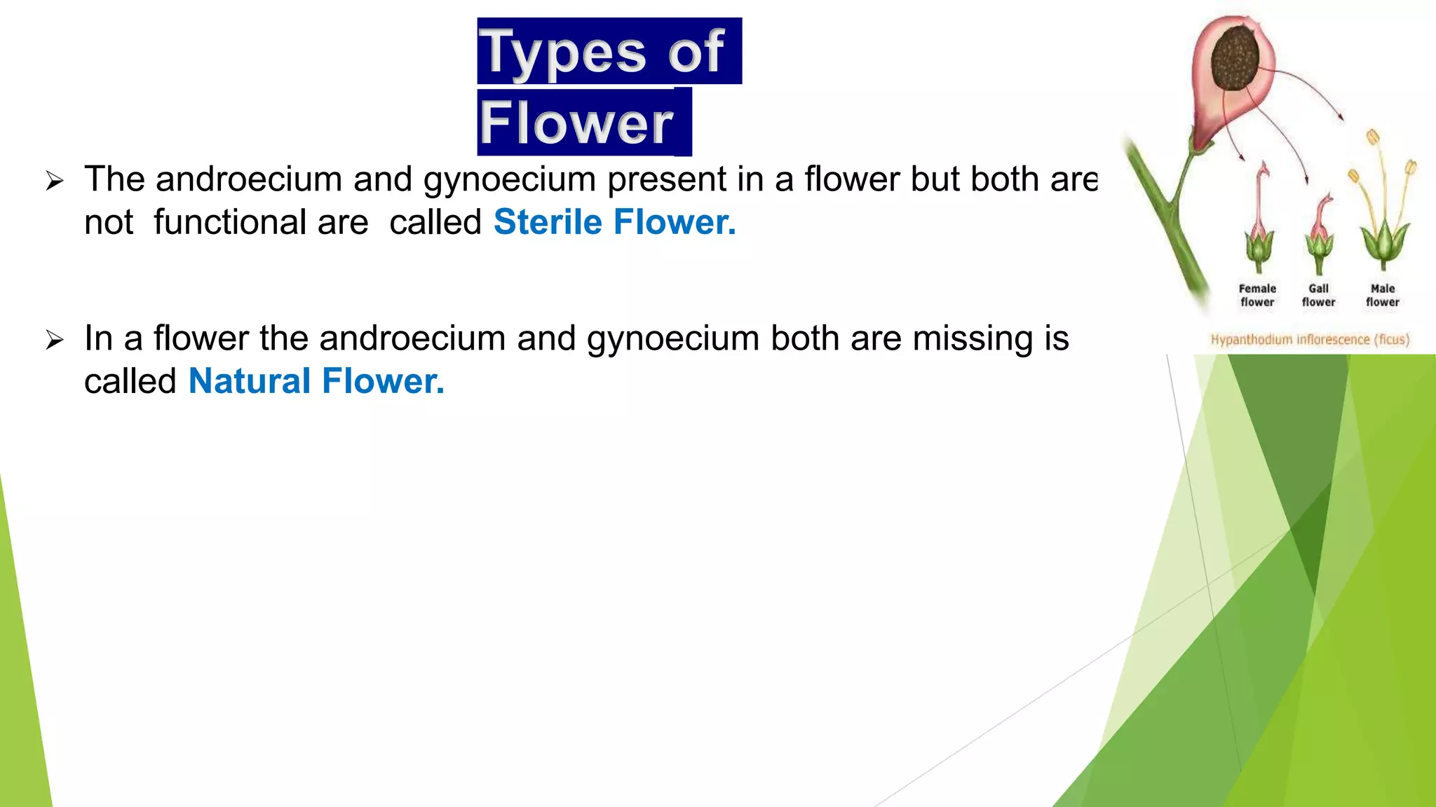 Introduction to flower, it's parts and types of flowers. | PPTX