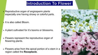 Introduction to flower, it's parts and types of flowers. | PPTX