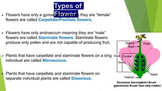 Introduction to flower, it's parts and types of flowers. | PPTX