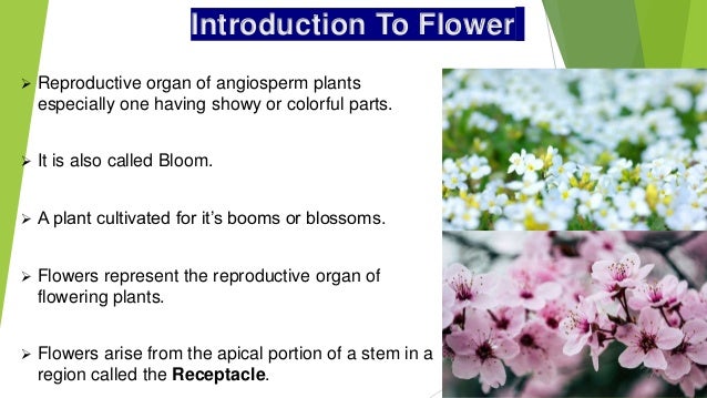 Introduction to flower, it's parts and types of flowers.