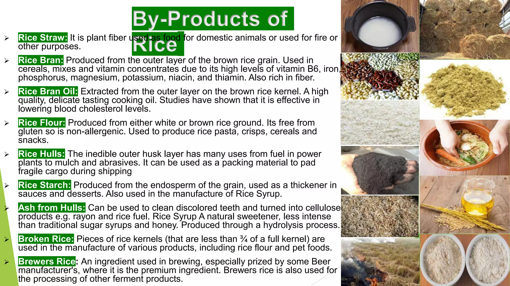 Rice Introduction, origin, floral description, floral formula and ...
