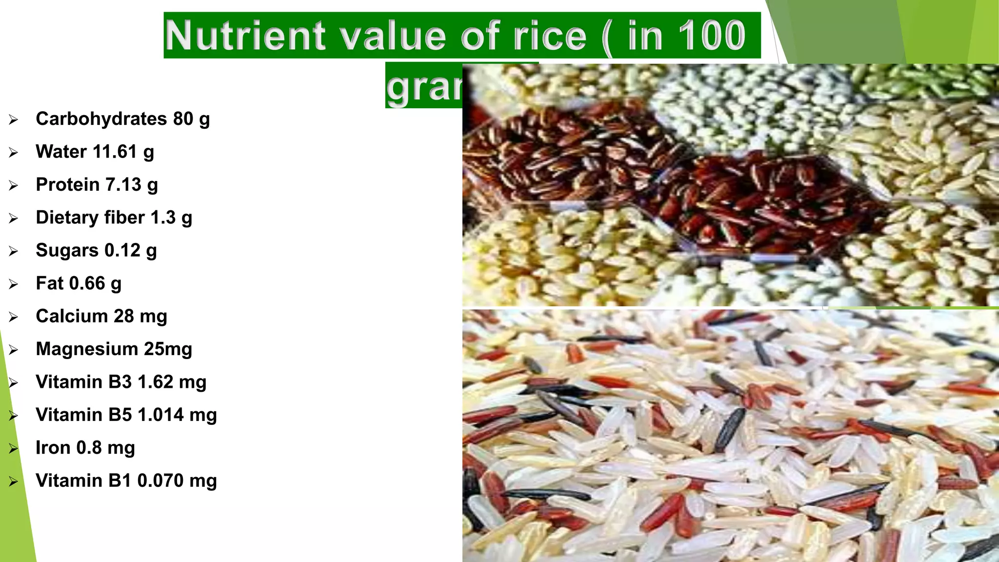 Rice Introduction, origin, floral description, floral formula and ...
