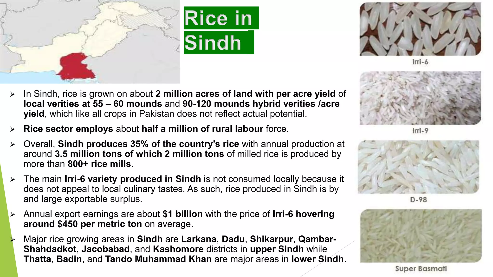Rice Introduction, origin, floral description, floral formula and ...