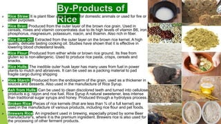 Rice Introduction, origin, floral description, floral formula and ...