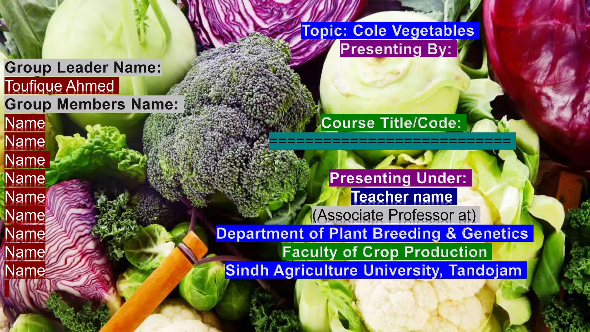 cole vegetables ( introduction of cabbage, origin, floral formula ...