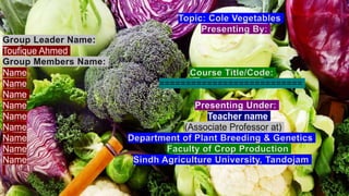 cole vegetables ( introduction of cabbage, origin, floral formula, floral description) | PPTX