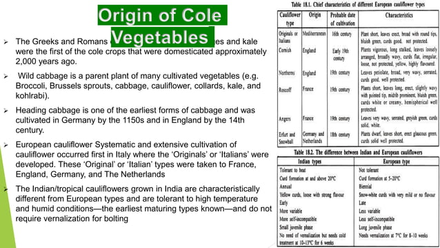 cole vegetables ( introduction of cabbage, origin, floral formula ...