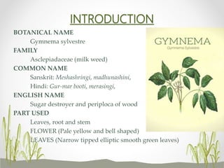 Gymnema sylvestre | PPTX