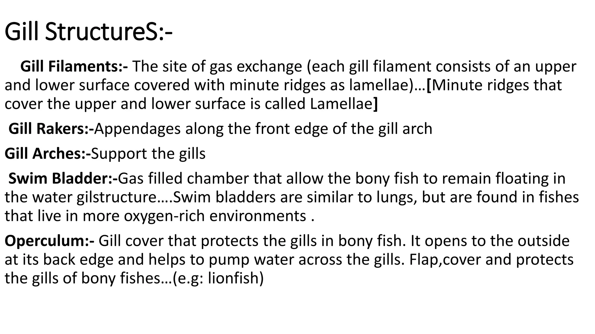 physiology Mechanism of gaseous exchange in aquatic respiratory ...