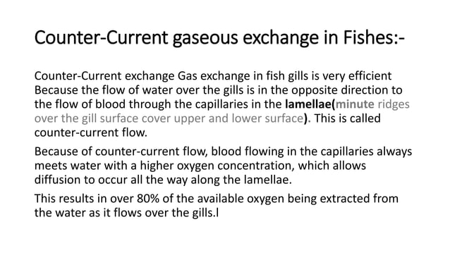 physiology Mechanism of gaseous exchange in aquatic respiratory ...