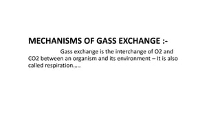 physiology Mechanism of gaseous exchange in aquatic respiratory ...