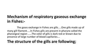 physiology Mechanism of gaseous exchange in aquatic respiratory ...