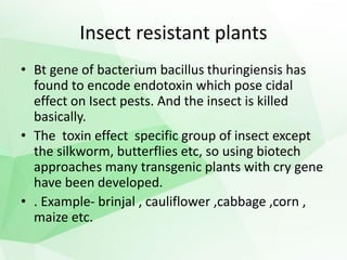 Assignment of plant tissue culture | PDF