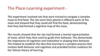 Assignment of Theories and System.pptx