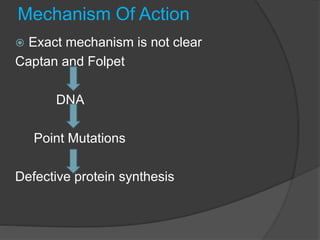 Assignment of toxicology | PPT