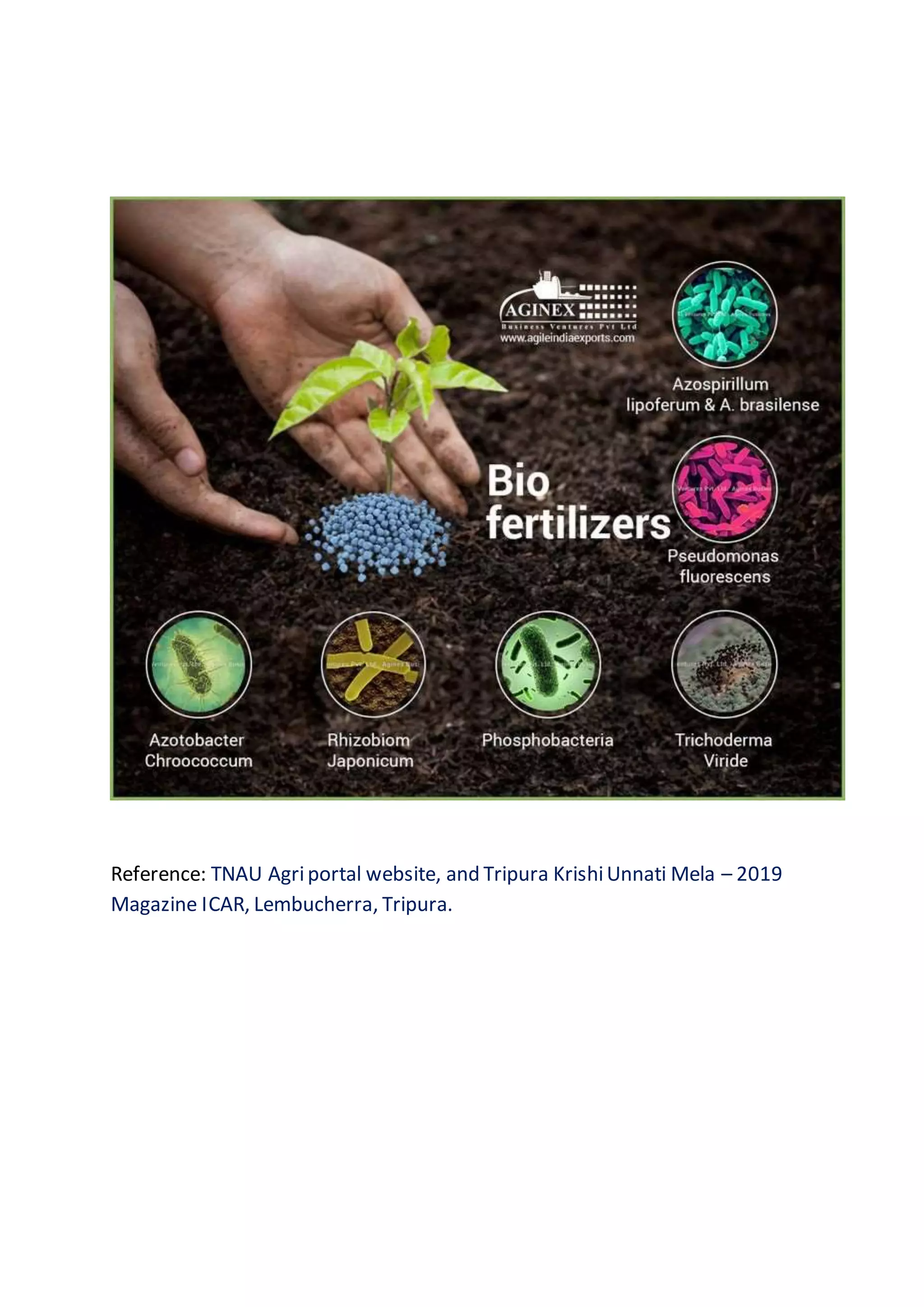 Assignment on biofertilizers, | DOCX