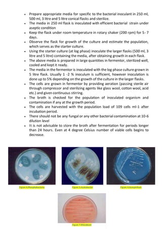 Assignment on biofertilizers, | DOCX