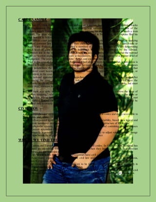 Assignment on civil law vs common law | PDF