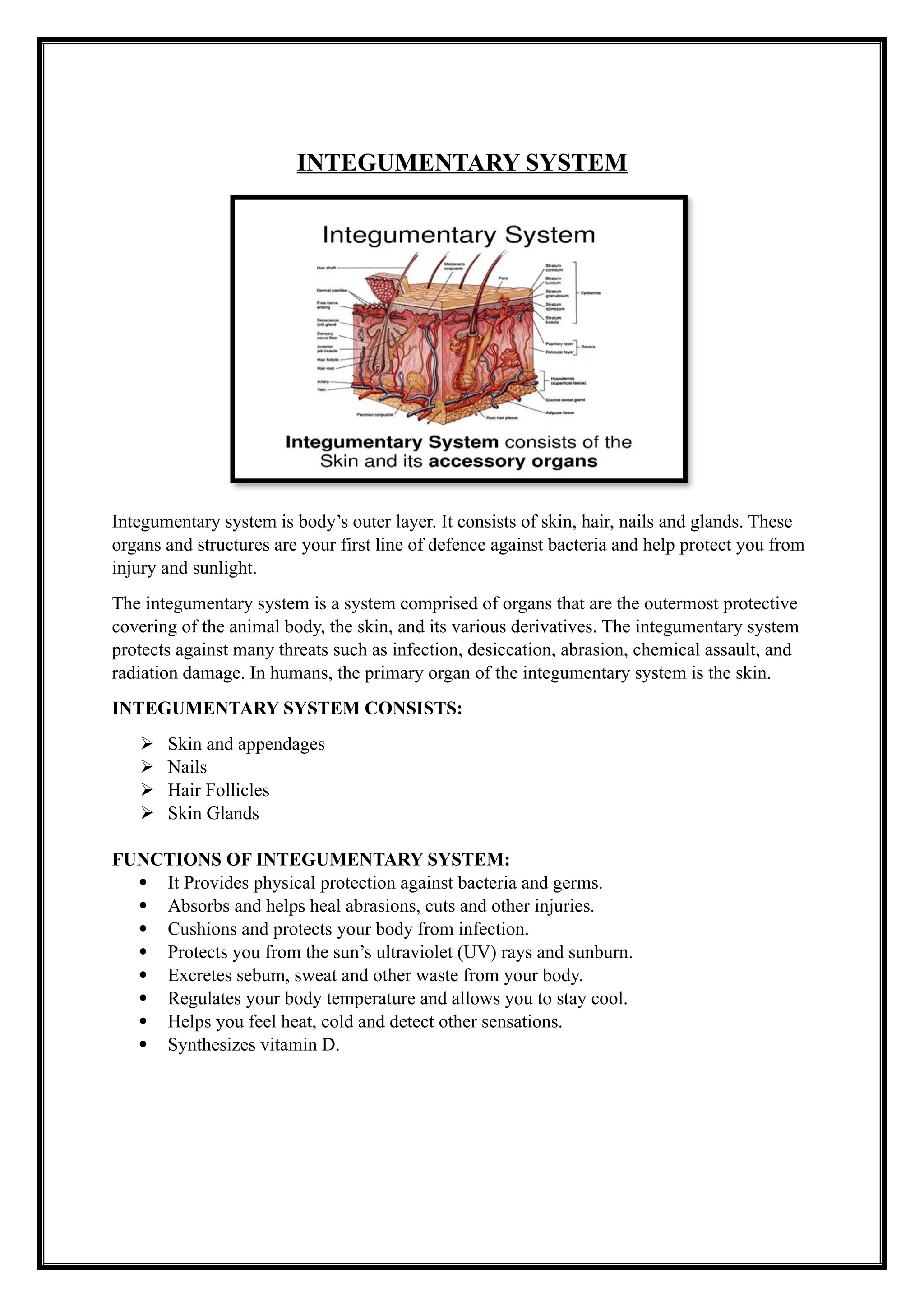 Integumentary System And It's Disease Conditions | DOCX