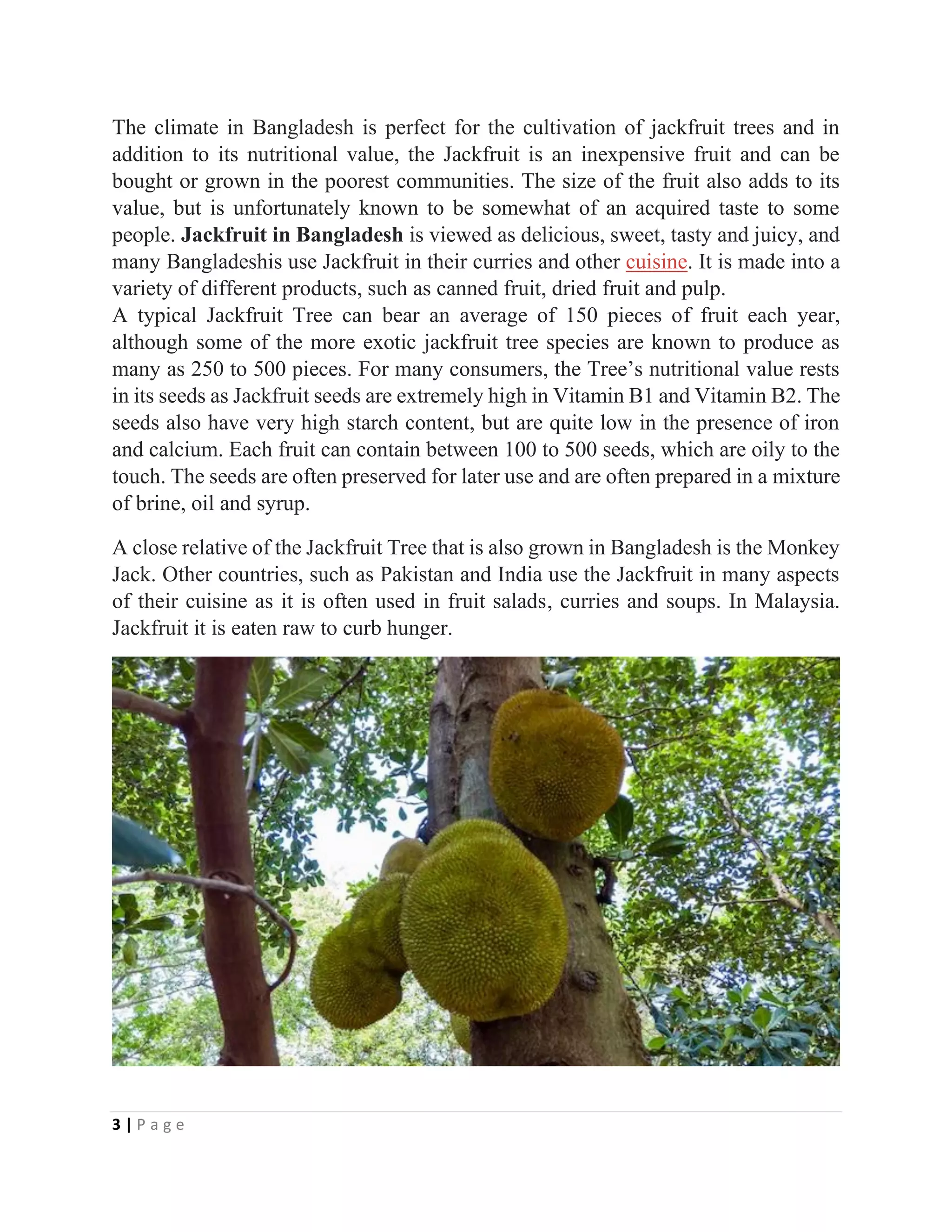 Assignment on Jackfruit.pdf