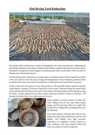 Assignment on Kuliarchar Cold Storage and Fish Drying Yard.pdf
