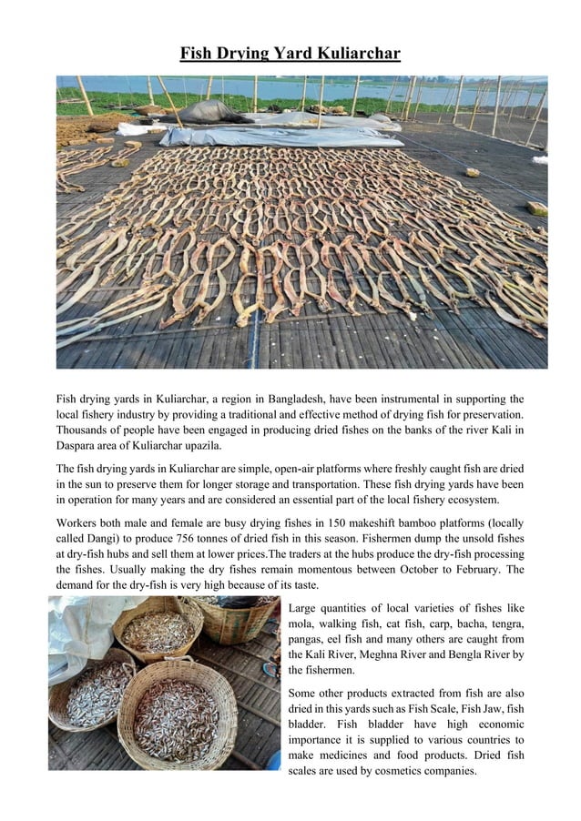 Assignment on Kuliarchar Cold Storage and Fish Drying Yard.pdf