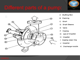 Presentation on pump Roll 132031-132040 | PPTX