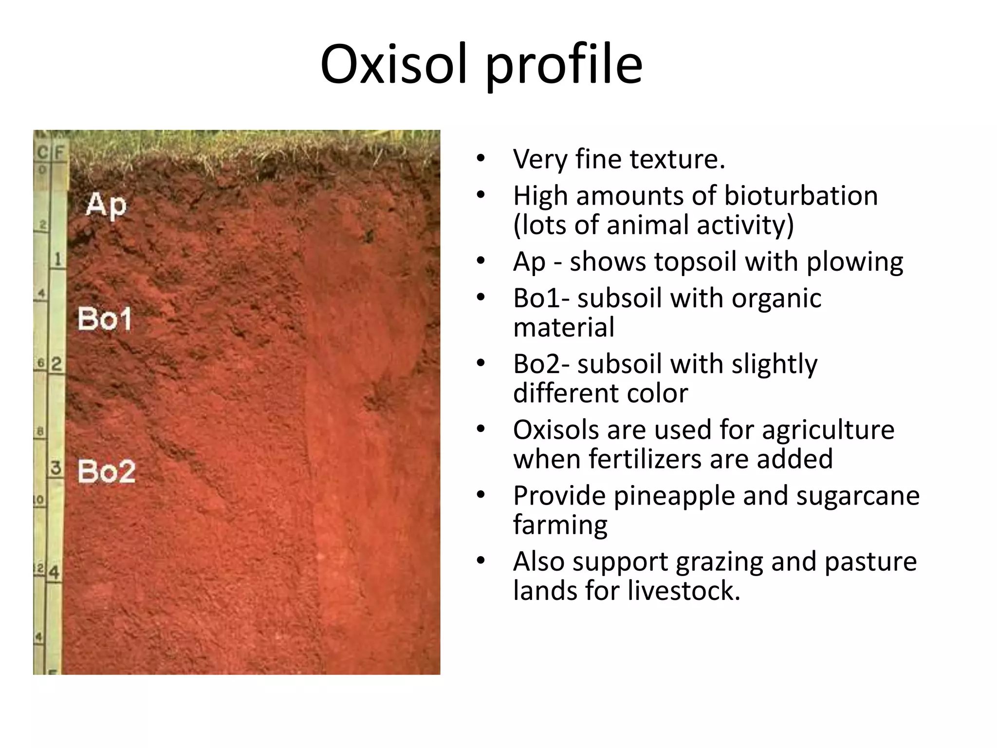 Assignment oxisol | PPTX