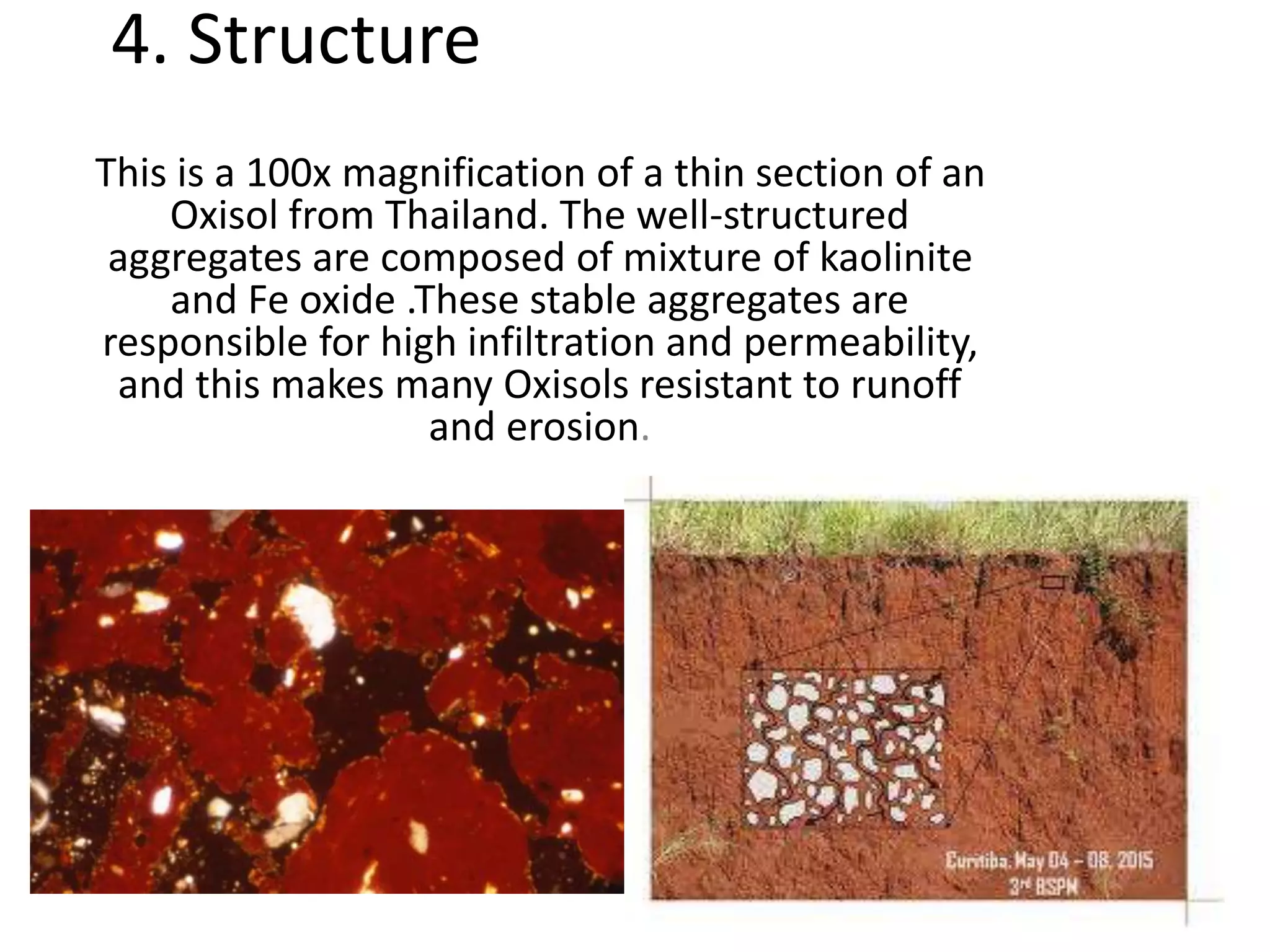 Assignment oxisol | PPTX