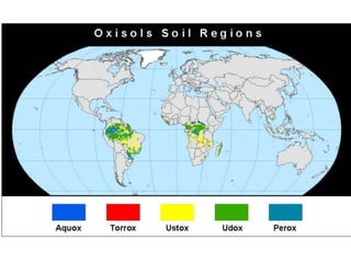 Assignment oxisol | PPTX