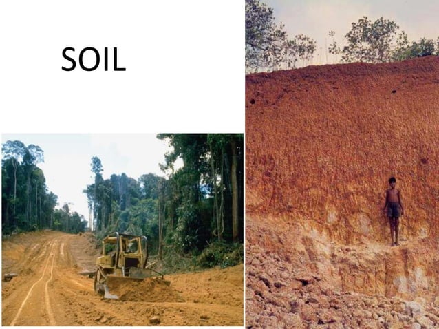 Assignment oxisol | PPTX