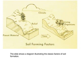 Assignment oxisol | PPTX