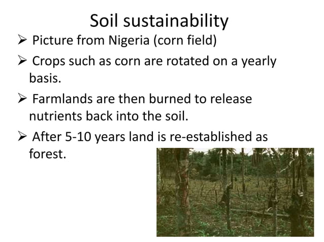 Assignment oxisol | PPTX