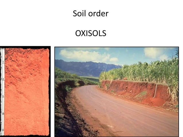 Assignment oxisol | PPTX