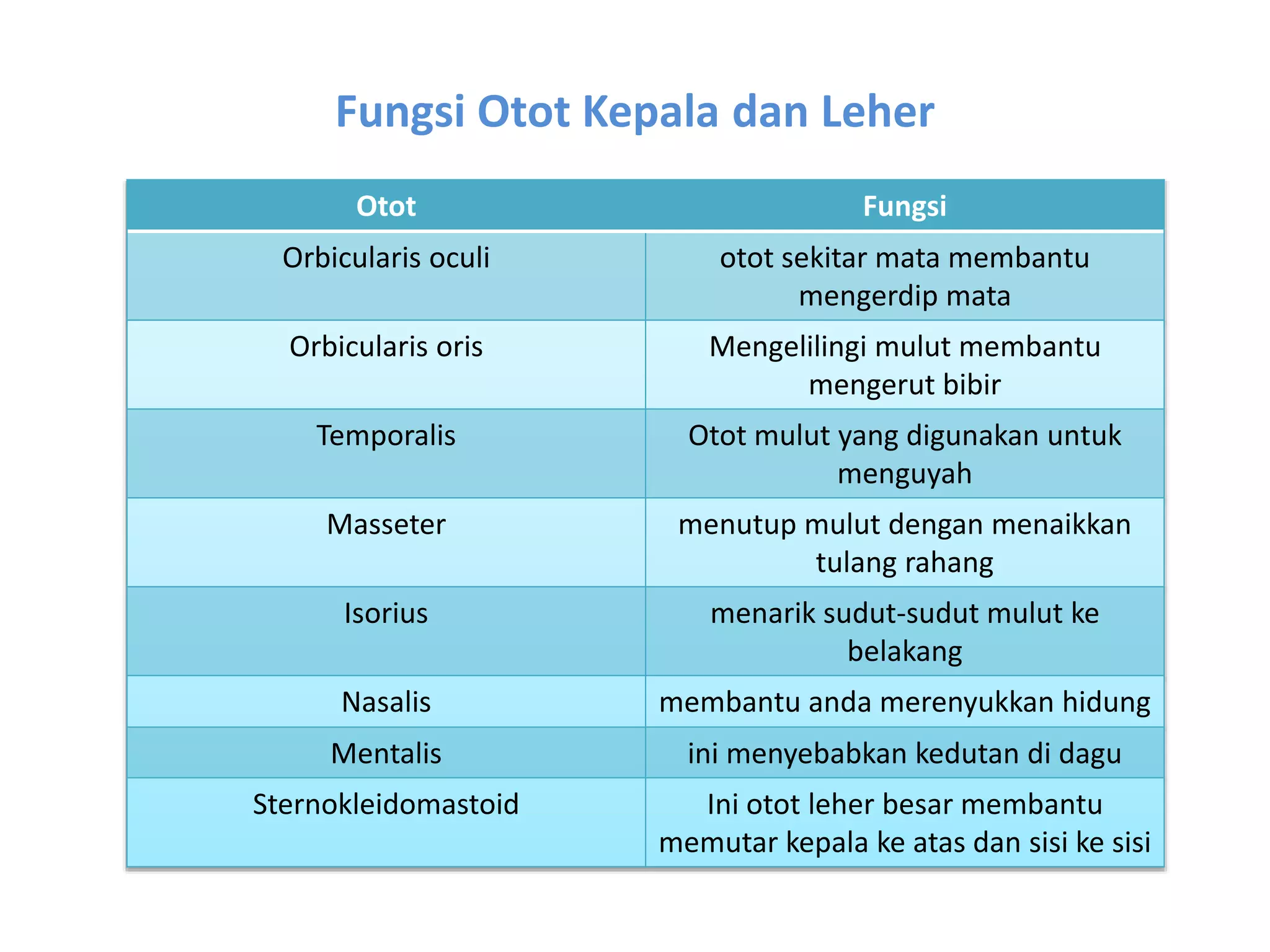 Sistem Otot | PPT