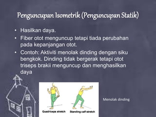 Sistem Otot | PPT