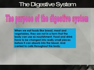digestive body system human stomach eating | PPT