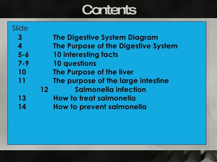 10 Facts About The Digestive System