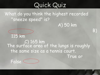 The respiratory system | PPT