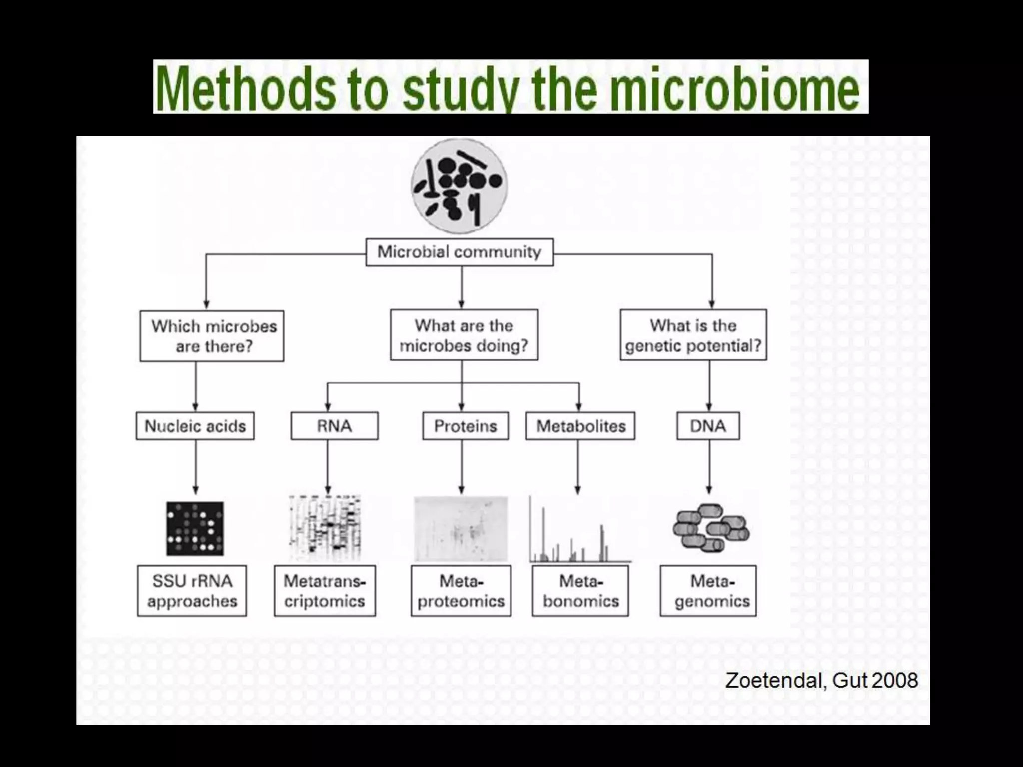 Human Microbiome Projects | PPT