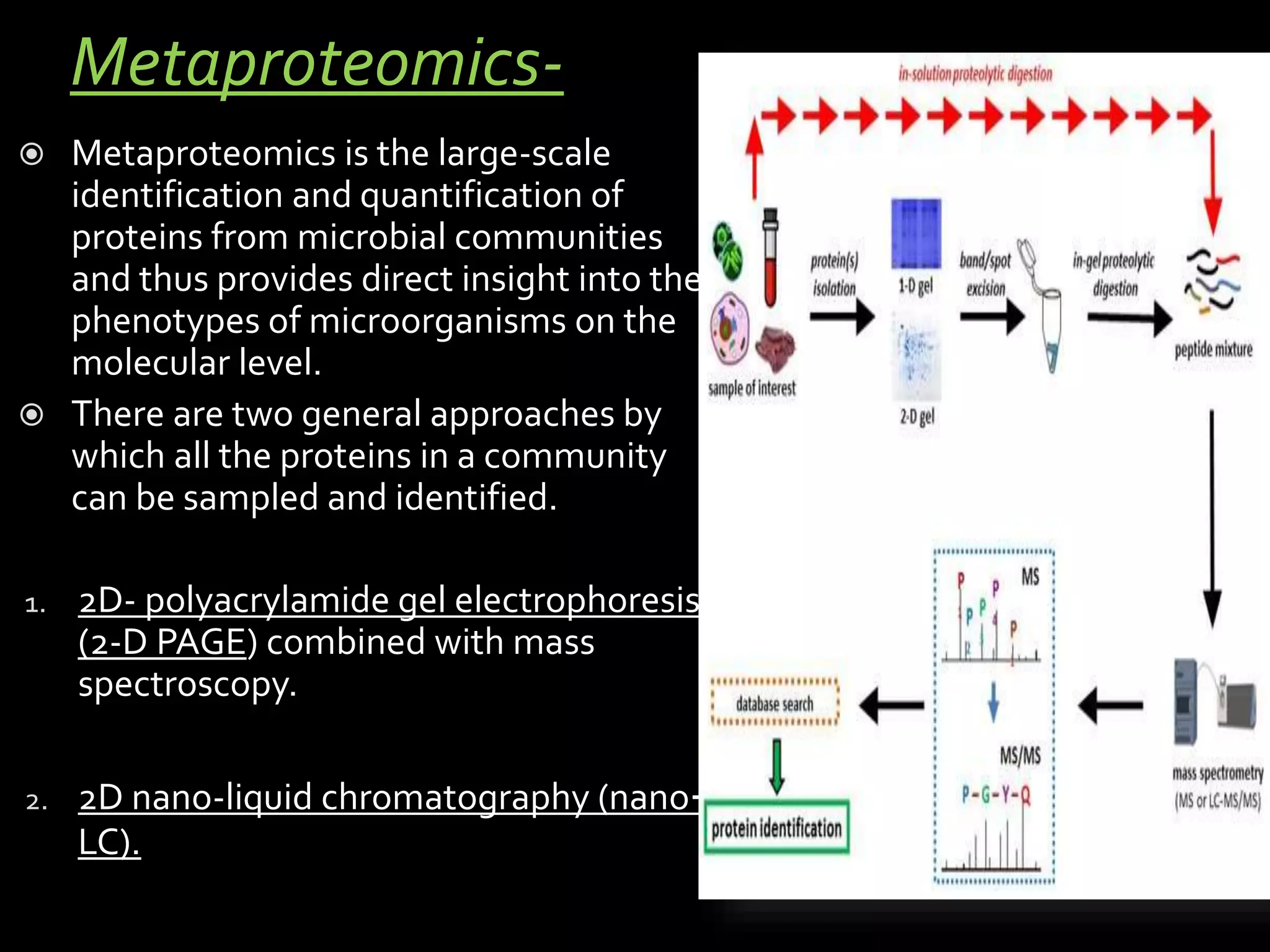 Human Microbiome Projects | PPT